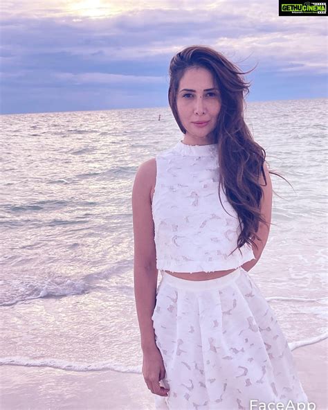 Kim Sharma 2022 Hd Wallpaper Gethu Cinema