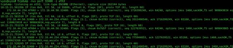 Nat Problem With Wireguard Vpn General Questions Vyos Forums