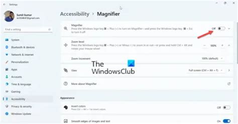How To Enable Or Disable Magnifier On Windows 11 10