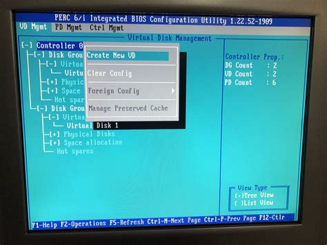 Dell Perc 6i Virtual Disk Setup For Raid