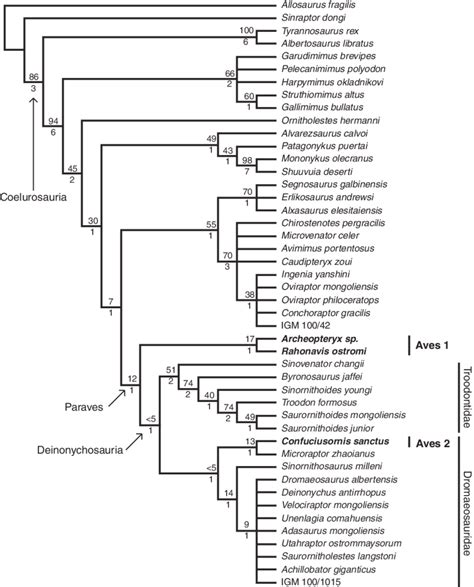 Clade Support On The Strict Consensus Tree Of 1 Bootstrap