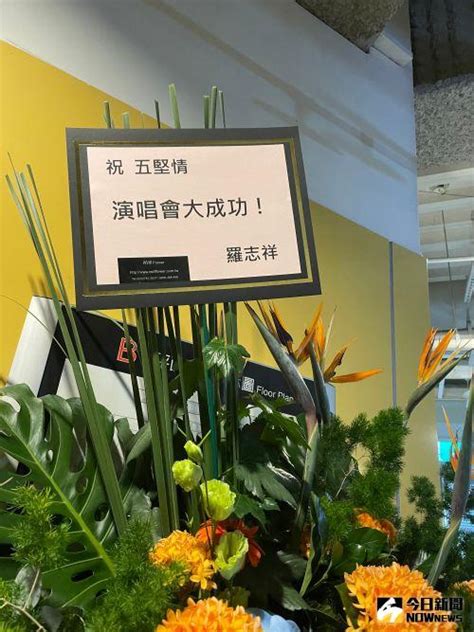 不藏了！愷樂神隱2年「合體」羅志祥 為五堅情打氣 火線now星聞 娛樂 Nownews今日新聞