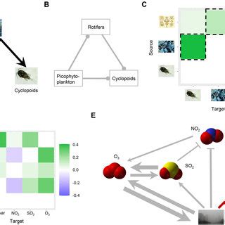 Reconstructing Networks From Real World Data A A Food Chain Network