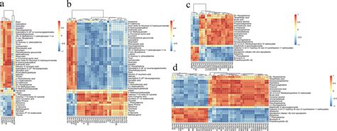 Heat Maps Of The Correlations Between Bacterial And Fungal Otus And