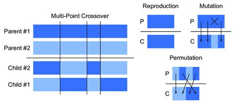 1 Cross Over Reproduction Options Applied In The Genetic Algorithm Download Scientific Diagram