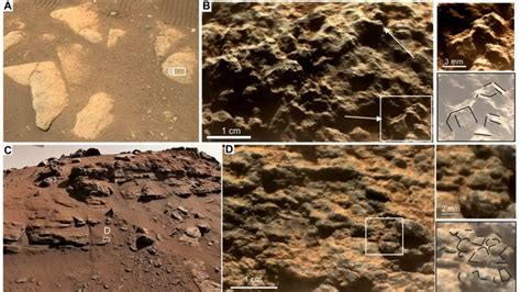 Nasas Perseverance Mars Rover Discovers Volcanic Rocks In Jezero Crater