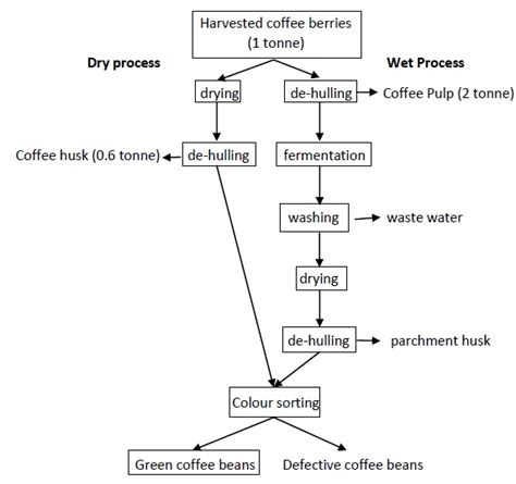 Coffee Processing Flow Chart