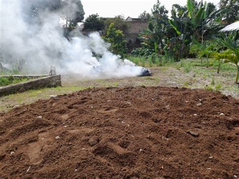 Cleaning The Garden Stock Image Image Of Lawn Cleaning 289027767