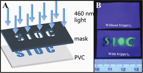 A Schematic Illustration Of Patterned Polymer Brushes On The Surface