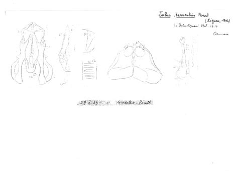 Worms World Register Of Marine Species