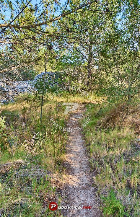 Uvala Makarac Milna Brač Plaže