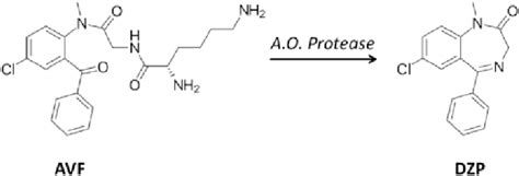 Scheme 2 Diazepam Dzp And Its Prodrug Avizafone Avf Avf Is