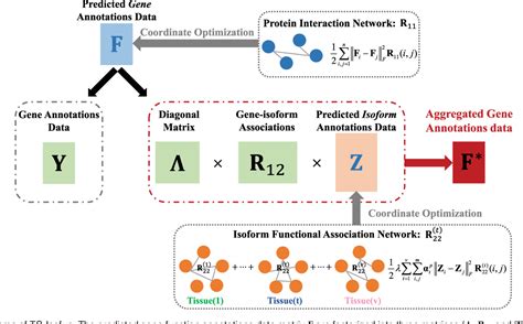Figure From Tissue Specificity Based Isoform Function Prediction Semantic Scholar