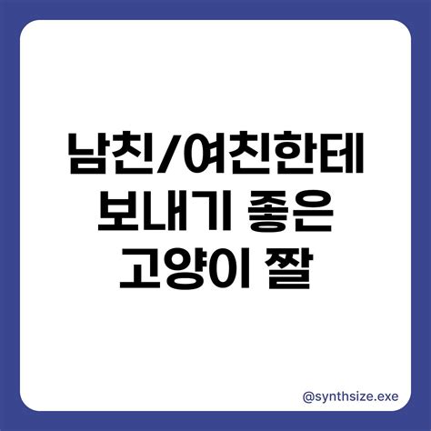신디밈 · 트렌디한 밈 채널 Synthsize Exe 💓팔로우하고 매일 올라오는 이슈 컨텐츠 보러가기💓 릴스 소통 유머저장소 이슈 웃짤 웃김