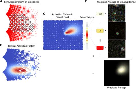 Figure From Adapting Brain Like Neural Networks For Modeling Cortical