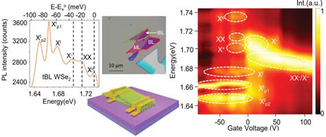 Tuning Many Body Charge Complexes In Twisted Wse2 Download Scientific Diagram