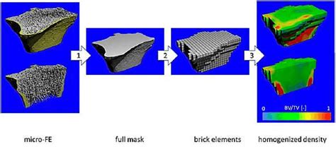 Schematic Representation Of The Homogenization Procedure In A First