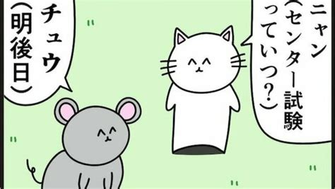 【因縁】猫がセンター試験に受からなかった悲しい理由とは…？「ネズミ絡み」「神回」「センスしかない」 Antenna[アンテナ]