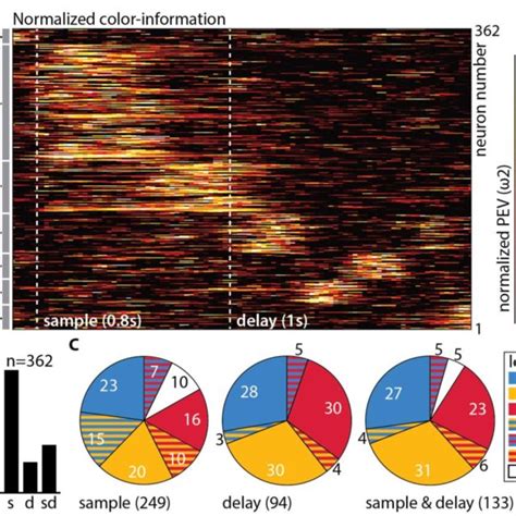 A The Neuronal Population Can Be Best Described By 7 Individual Download Scientific Diagram