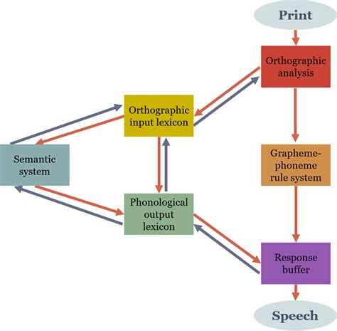 Dual Processing Psychology Glossary