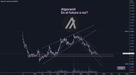 Algorand Es El Futuro O No Para Binance Algousdt De Fibobeta