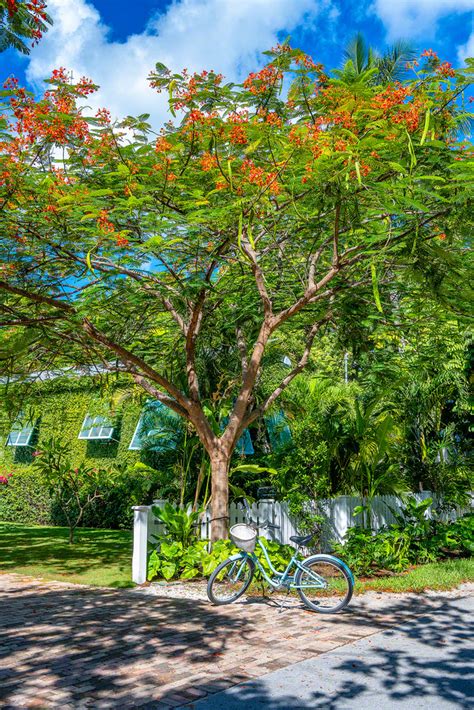 Peddle In Paradise 1 Mike Ring Photography