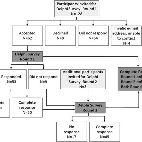 Flow Diagram Of The Delphi Surveys Download Scientific Diagram