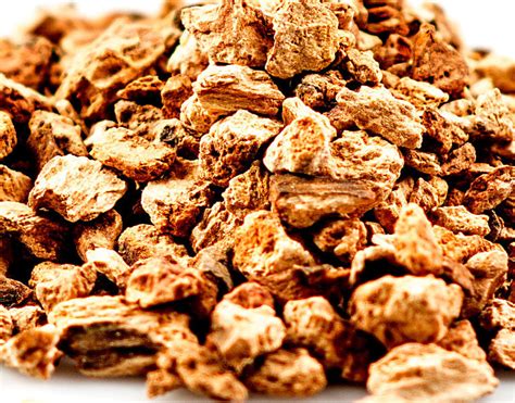 Cinchona Bark Rebeccas Herbal Apothecary