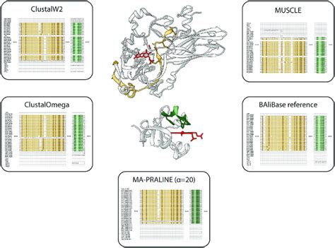 Alignment Programs Compared On The Motif Rich Region Of The Balibase 3