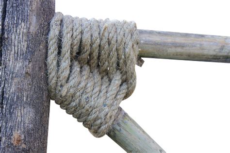 매듭이 있는 밧줄 개체를 단단하고 안전하게 고정하는 데 유용하며 클리핑 패스가 있는 흰색 배경에 강력하게 격리됩니다 0명에 대한 스톡 사진 및 기타 이미지 Istock