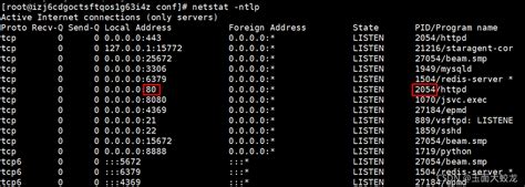 Linux Nginx Nginx Emerg Bind To Failed Address Already In Use