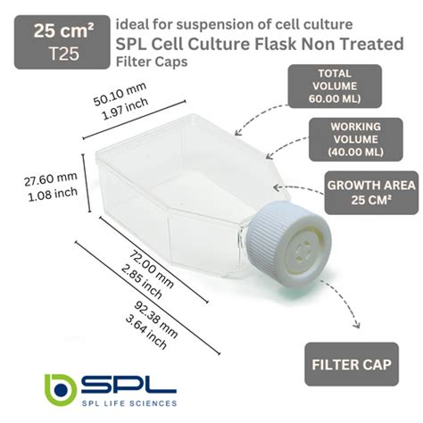 Spl Cell Culture Flask 25 Cm² T25 Filter Cap Treated Sterile 200