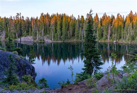 I Heart Pacific Northwest