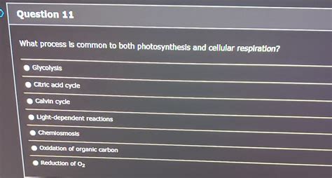Solved Question 11what Process Is Common To Both