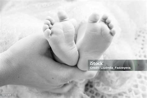 어머니 손에 아기 다리입니다 작은 신생아의 여성 모양의 손 근접 촬영에 피트 엄마와 그녀의 아이 가족에 대한 스톡 사진 및 기타
