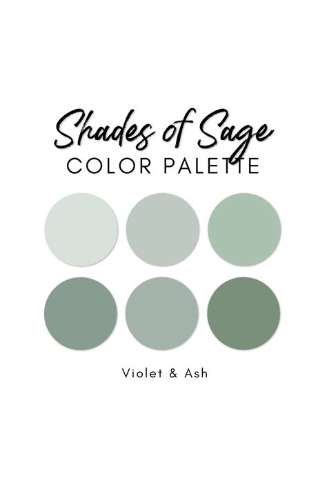 Sage Procreate Palette Color Chart Photoshop Ipad Etsy