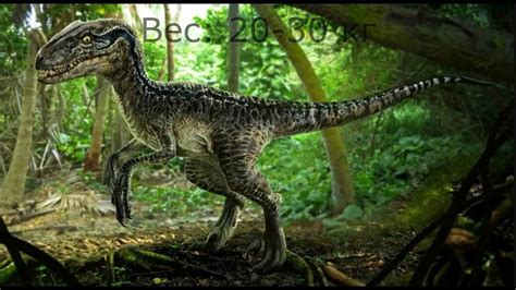 Велоцираптор Youtube