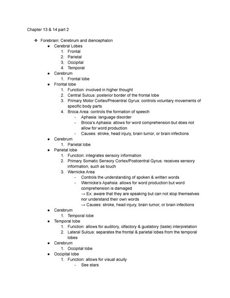 Ch 13part 2 Dr Kellar Class Chapter 13 And 14 Part 2 Forebrain