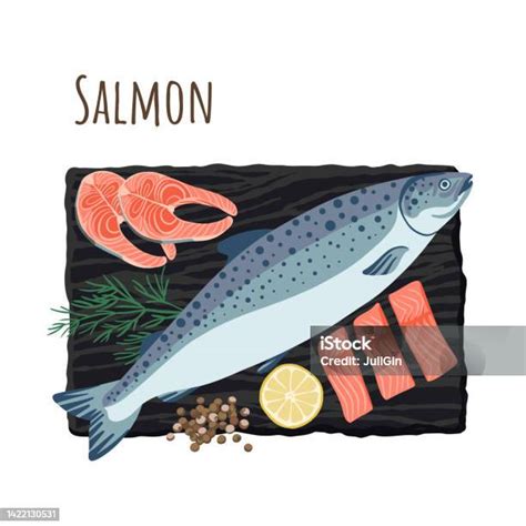 돌판에 조미료가 든 연어 플랫 스타일 딜 레몬 올스파이스 벡터 일러스트 레이 션 강에 대한 스톡 벡터 아트 및 기타 이미지 강 건강한 식생활 고기 Istock