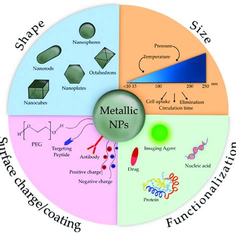 Classification Of Liposomes Unilamellar Ulv Multilamellar Mlv