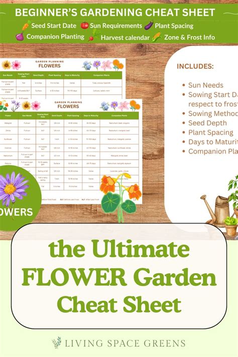 Flower Garden Seed Starting Cheat Sheet Seed Sowing Beginners Guide