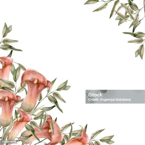 빨간 빈티지 칼라 꽃 와 녹색 잎 수채화 프레임 벽지 열대 백합과 녹지가 있는 손으로 그린 꽃 배너 포장 로고 디자인 웹 뷰티 블로그 결혼 축하 0명에 대한 스톡 벡터 아트