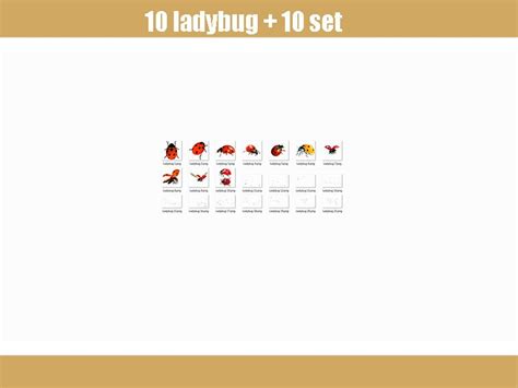 20 Ladybug Photo Overlays Photoshop Overlay Butterfly Etsy