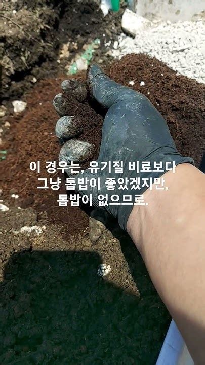 산성화 된 토양 중화시키는 방법 Youtube