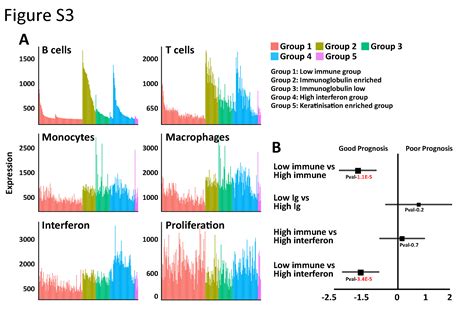 Immune Cell Gene Signatures For Profiling The Microenvironment Of Solid