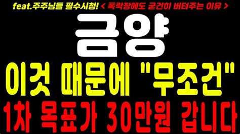 금양 주가전망 속보 이것 때문에 무조건 1차목표가 30만원 갑니다 이때 주목하세요 4695 테슬라가 주목하는