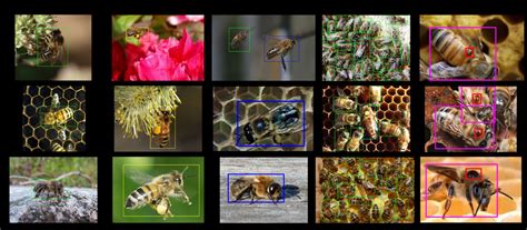 brief overview of dataset created for the purpose of this work healthy download scientific