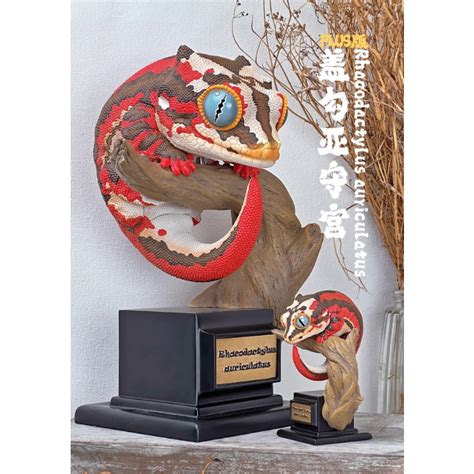 【那間模型】博物志 守宮 Plus 放大版 睫角守宮 瘤尾守宮 守宮 壁虎 爬蟲類 模型 公仔 寵物 蝦皮購物