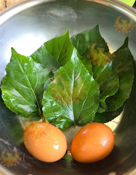 ဒွက်မန် အမြင်အာရုံအားနည်းတာ၊ မျက်လုံးမှုန်တာတွေအတွက် မျက်လုံးကြည်လင် တောက်ပပြီး ဘာကိုကြည့်ကြည့