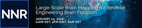 Large Scale Brain Mapping For Reverse Engineering Brain Function